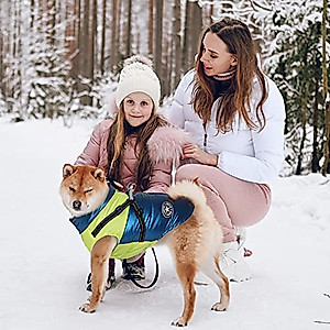 BAEJMJK Dog Reflective Winter Coat with Harness Warm Cold Weather Jacket for Small Medium Dogs Zip Up Turtleneck Puppy Vest with D-Ring Waterproof Windproof Dog Winter Clothes(Blue，2X-Large)