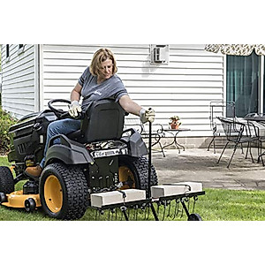 Agri-Fab 40-Inch Tine Tow Dethatcher 45-0294,Black