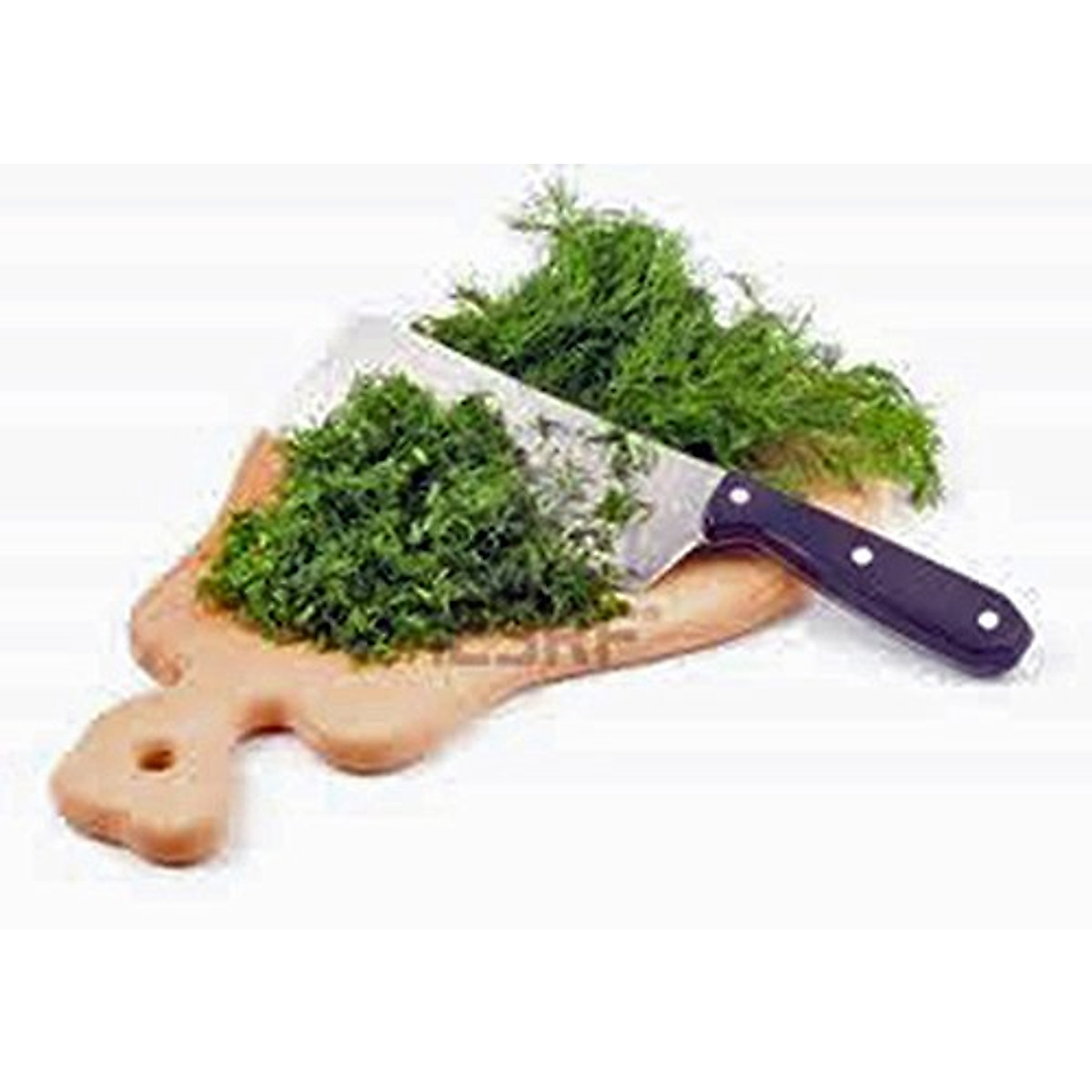 Dill Seed, Bouquet, Heirloom, Non GMO, 25+ Seeds, Herb Fresh or Dried