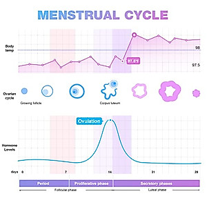 Easy@Home Ovulation Test Predictor Kit : Accurate Fertility Test for Women (Width of 5mm), Fertility Monitor Test Strips, 50 LH Strips