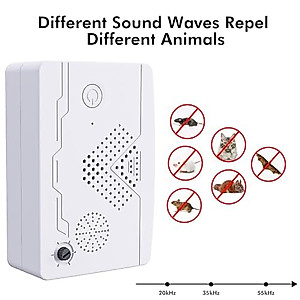 Ultrasonic Bat Repellent, Ultrasonic Pest Mouse Bat Reject Repelling System, Pest Repellent Ultrasonic for House Indoor Pest Bat Removal Repellent, Keep Bat and Pest Flee Away