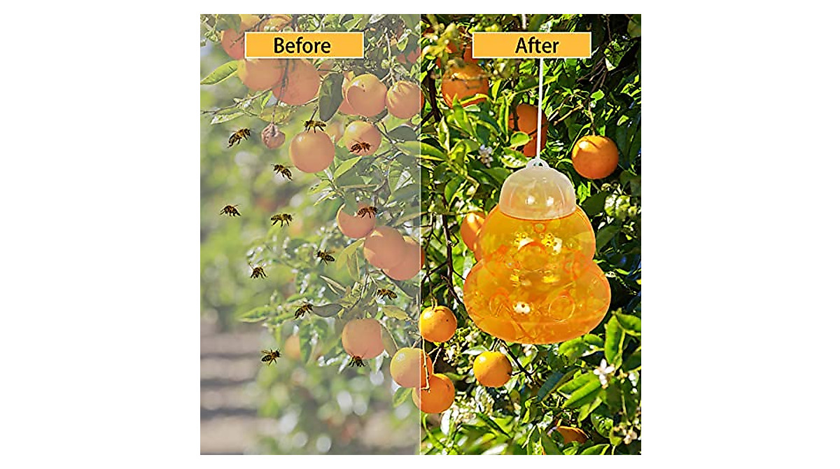 Effective 2 Pack Wasp Traps for Outdoor Use