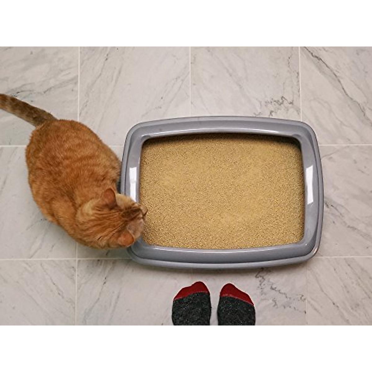 World's Best Cat Litter, Clumping Litter Formula for Multiple Cats, 28-Pounds