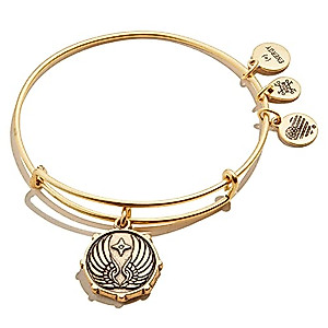Alex and Ani Path of Symbols Expandable Bangle for Women, Guardian Angel Wings Charm, Rafaelian Gold Finish, 2 to 3.5 in