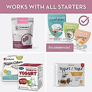 Stainless Steel Yogurt Maker with 1 Quart Glass Jar and Complete Recipe Book to Make 12+ Easy Homemade Dairy Free and Milk Yogurts