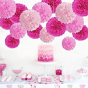 Hot Pink Tissue Pom Poms Paper Flowers Hanging Decorations Pink Flower Ball for Baby Shower Wedding Nursery Birthday Party Backdrop Home Outdoor