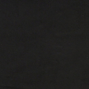 vidaXL Loveseat, Accent Velvet Upholstered Loveseat with Armrests, Modern Couch Bench for Dining Room Living Room Bedroom, Black Velvet