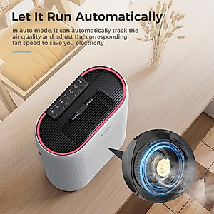 AROEVE Air Purifier with Two Filter(One Basic Version & One Standard Version)