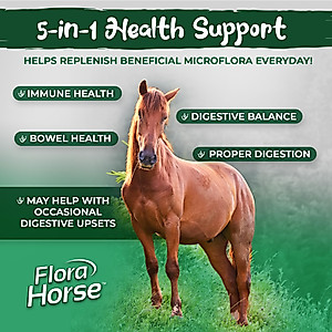 Vital Planet - Flora Horse Probiotic, High Potency Equine Probiotics with Prebiotics, 40 Billion Live CFU from Multiple Strains, Digestive and Immune Support, 180 Delayed Release Capsules (180 Days)