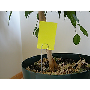 50 Pack 25 ea. 3" x 5" Yellow Sticky Cards & 25 ea.12 Long Wire Holder Kit