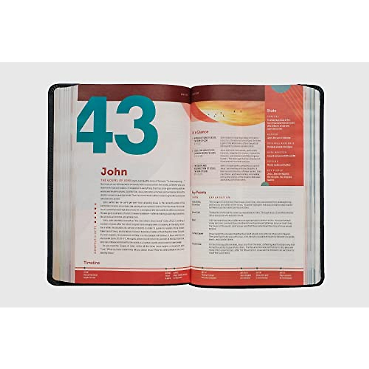 NLT Student Life Application Study Bible, Filament Enabled (LeatherLike, Charcoal Gray Striped, Red Letter)