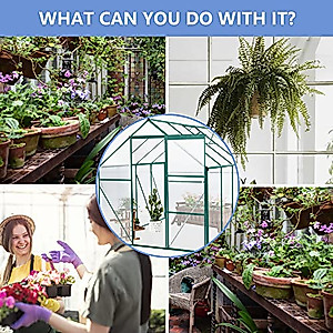 Outdoor Patio Greenhouse, Adjustable Roof Vent and Rain Gutter for Plants,Walk-in Polycarbonate Greenhouse, Garden Greenhouse for Flowers in Winter, Garden, Backyard,Silver-6 x 8 FT