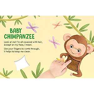 Baby Animals: A Touch and Feel Book - Children's Board Book - Educational