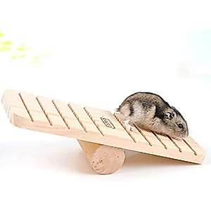 Litewoo Hamster Drinking Water Bottle, Hamster Tunnel Toy