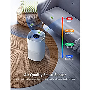 Air Purifiers with H13 HEPA Air Filter, Air Purifier for Large Room up to 430 ft², Pollen Smoke Allergen Pet Dander Hair Dust Air Cleaner, CADR 400 m³/h, Auto Mode, Timer, Air Quality Sensor, AP005