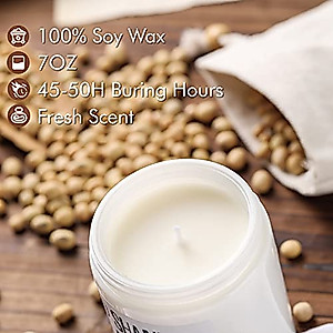 Funny Divorce Gifts for Women, Freshly Signed Divorce Papers Scented Candle, Unique Divorce, Break Up Gifts for Best Friends, Sister, BFF, Coworkers, Her