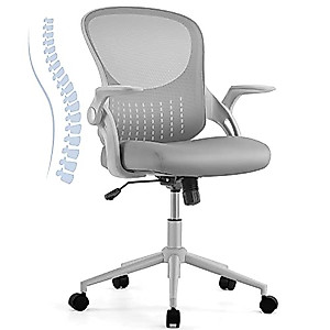 ZUNMOS Home Office Ergonomic Mesh Computer Desk High Back Swivel Task Executive Chair with Soft Armrests Padded Lumbar Support and Adjustable Rotatable Headrest, Grey