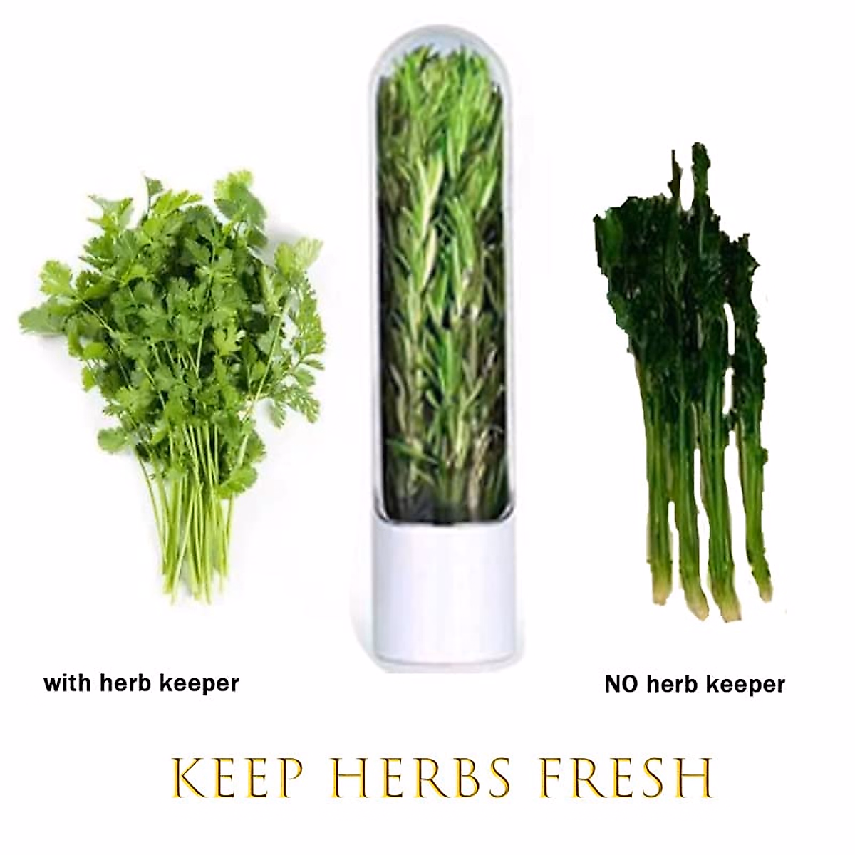 Cilantro Containers For Refrigerator，herb Saver，herb Keeper，glass Storage Containers Vegetable Storage Containers For Refrigerator Keeps Greens Fresh For 2-3 Weeks