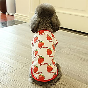 HonpraD Pet Clothes for Dogs Girl Dog Shirt Puppy Cat T Shirts Tops Soft Breathable Dog Sleeveless Vest Outfits Spring Summer Cotton Tee Shirts Pet Clothing