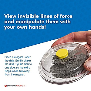 Dowling Magnets Magnetic Field Viewing Kit with Steel Filings