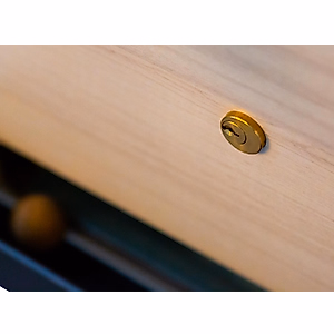 René Pierre Pro Coin Operated Foosball Table