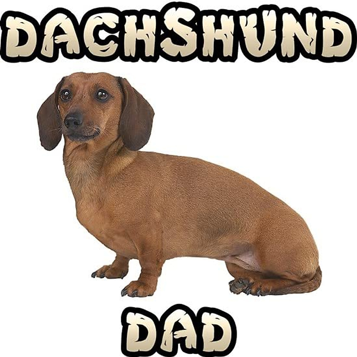 CafePress Dachshund Dad Mug Ceramic Coffee Mug, Tea Cup 11 oz