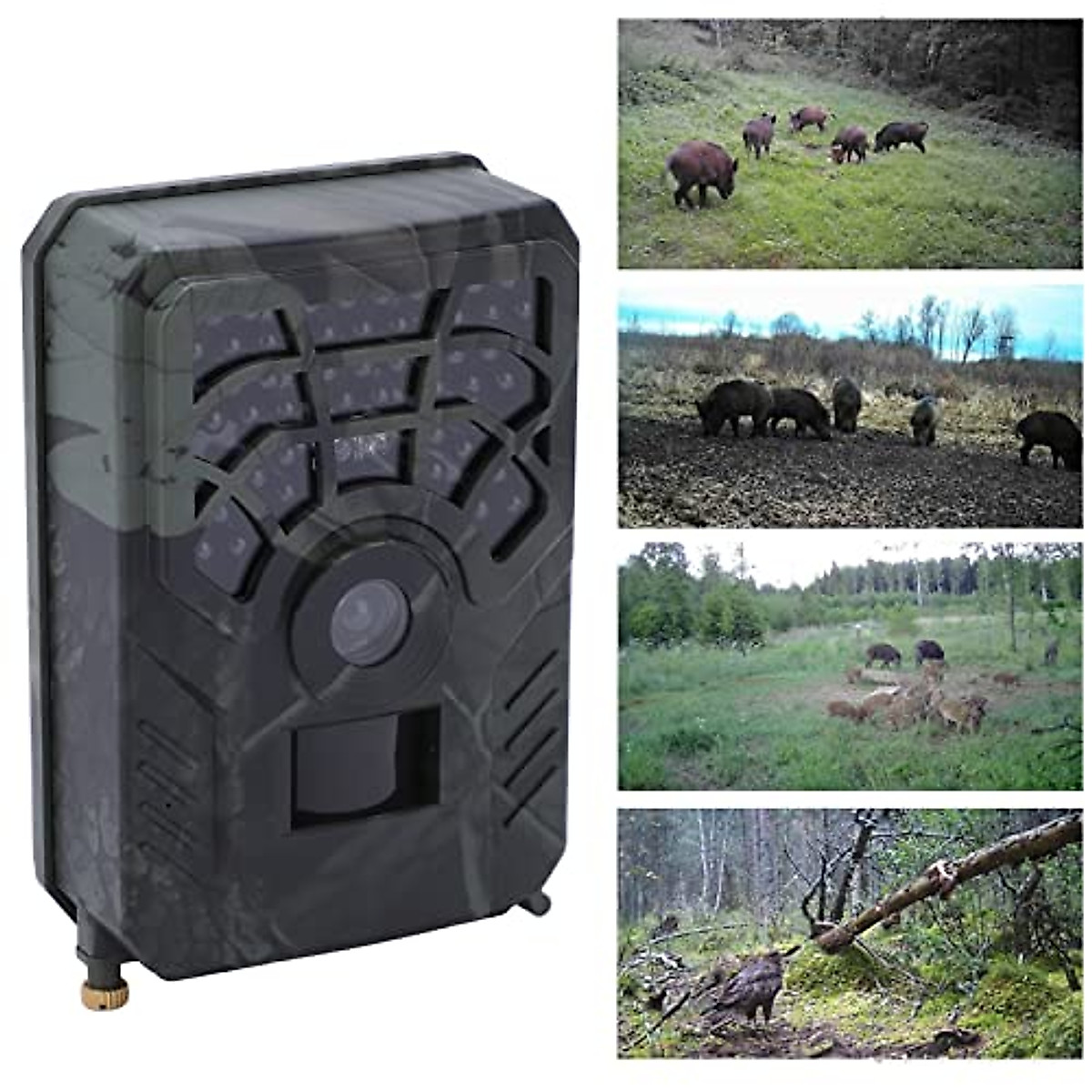 Socobeta Hunting Camera, Wildlife Monitoring 1MP Color CMOS HD Trail Camera with Strap for Villa House