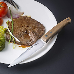 LANDOSAN Steak Knives Set of 4 Stainless Steel serrated steak knives Natural wood handle Knife Set