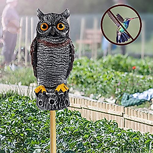 Hausse Fake Owl Decoy Bird Scarecrow Sculpture, 13.6 Inch Plastic Horned Owl Bird Deterrents, Garden Protectors, Halloween Outdoor Decoration, Large Nature Enemy Pest Repellent for Outdoor Garden Yard