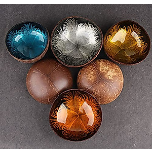 Emousport Coconut Shell Key, Candy Bowl Table Key Storage Section Coconut Bowl Ink Creative Ornament Creative Storage Bowl (Green)