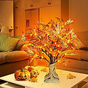 FastDeng 1.5ft Lighted Maple Tree, Artificial Fall Tree Light, Timer 36 LED Light, 72 Leaves, 6 Acorns Autumn Tabletop Tree Battery Operated for Indoor Fall Harvest Home Decor, Thanksgiving Decoration
