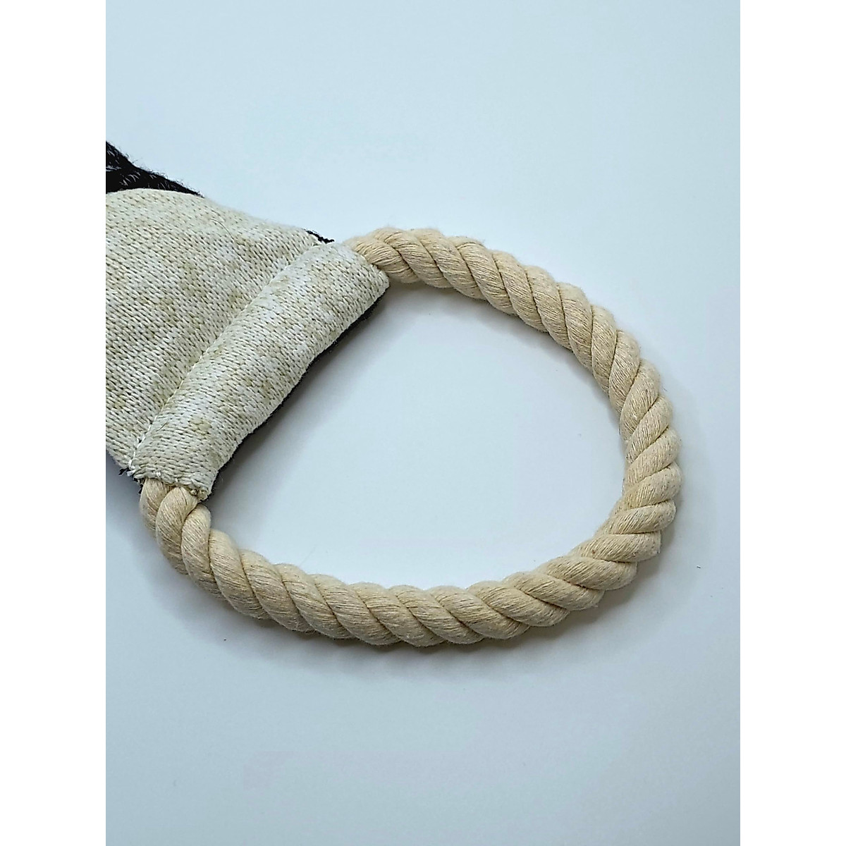 Baxter's Brothers Dog Plush Toys|Dog Stuff|Dog Squeaky Toys|Tough Dog Toys|Puppy chew Toys|Small Dog Toys|Medium Dog Toys|Chew Toys for Clean Teeth|pet Toys for Dogs|Funny Dog Toys|Pet Toys(Bear)