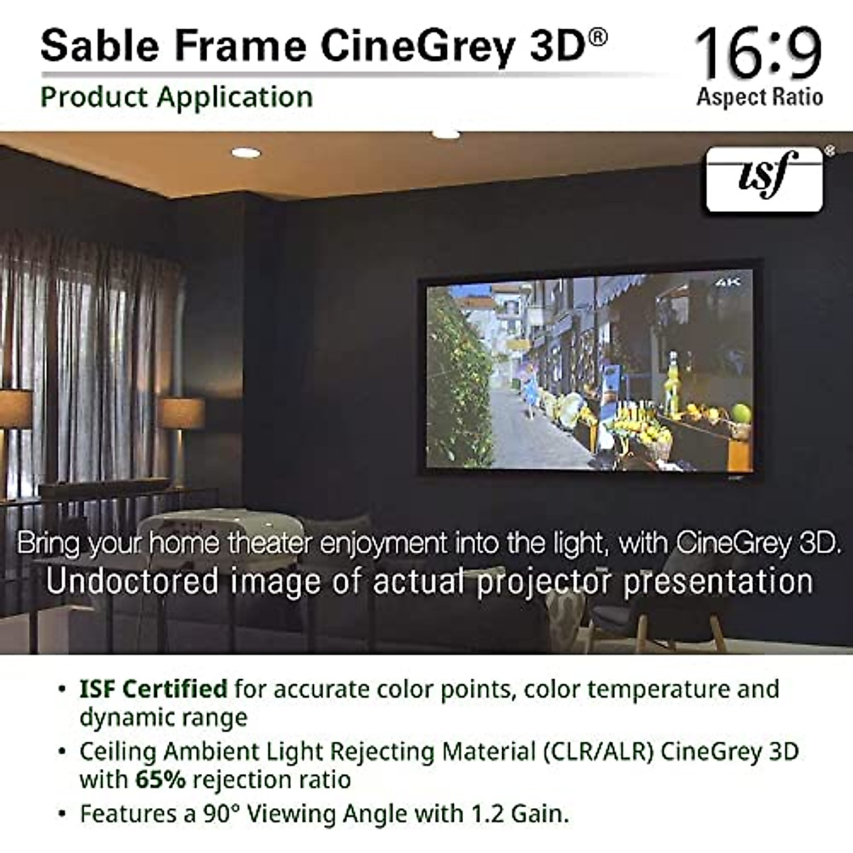 Elite Screens Sable Frame CineGrey 3D, 120-inch Diagonal 16:9, 8K 4K Ultra HD Ready Ceiling and Ambient Light Rejecting Fixed Frame Projector Screen, CineGrey 3D Projection Material, ER120DHD3