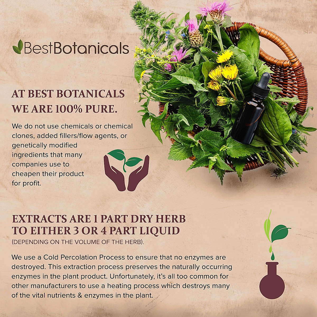 Best Botanicals Cat's Claw Bark Extract 1 oz.