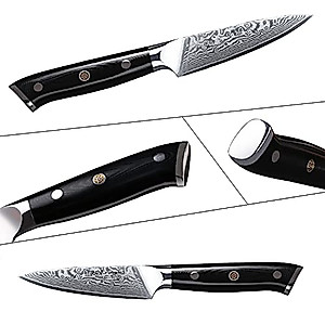 Professinal Damascus steel VG10 Core Kithen Chef Knife Set (Gentleness Raindrop Patter 5 PC)