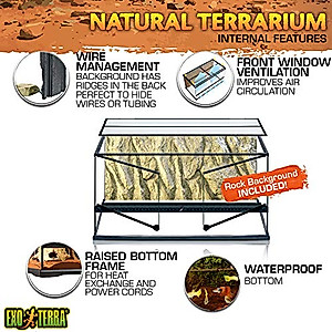Exo Terra AllGlass Terrarium - 36 x 18 x 18 Inches