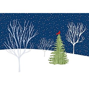 Midnight Cardinal Deluxed Boxed Holiday Cards (Christmas/ Holiday/Greeting Cards)