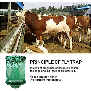 Ranch Fly Trap Outdoor Hanging Reusable with Fishing Apparatus | Food Bait Tray Catcher Cage for Indoor or Outdoor Family Farms, Park (6 Pack)
