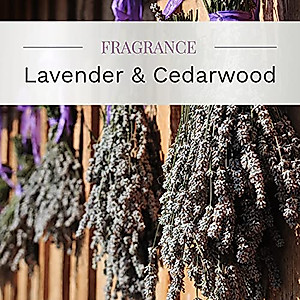 Essential Elements Lavender and Cedarwood Single-Wick Aromatherapy Candle with 50 Hours of Burn Time, 9 oz. Jar, Off White