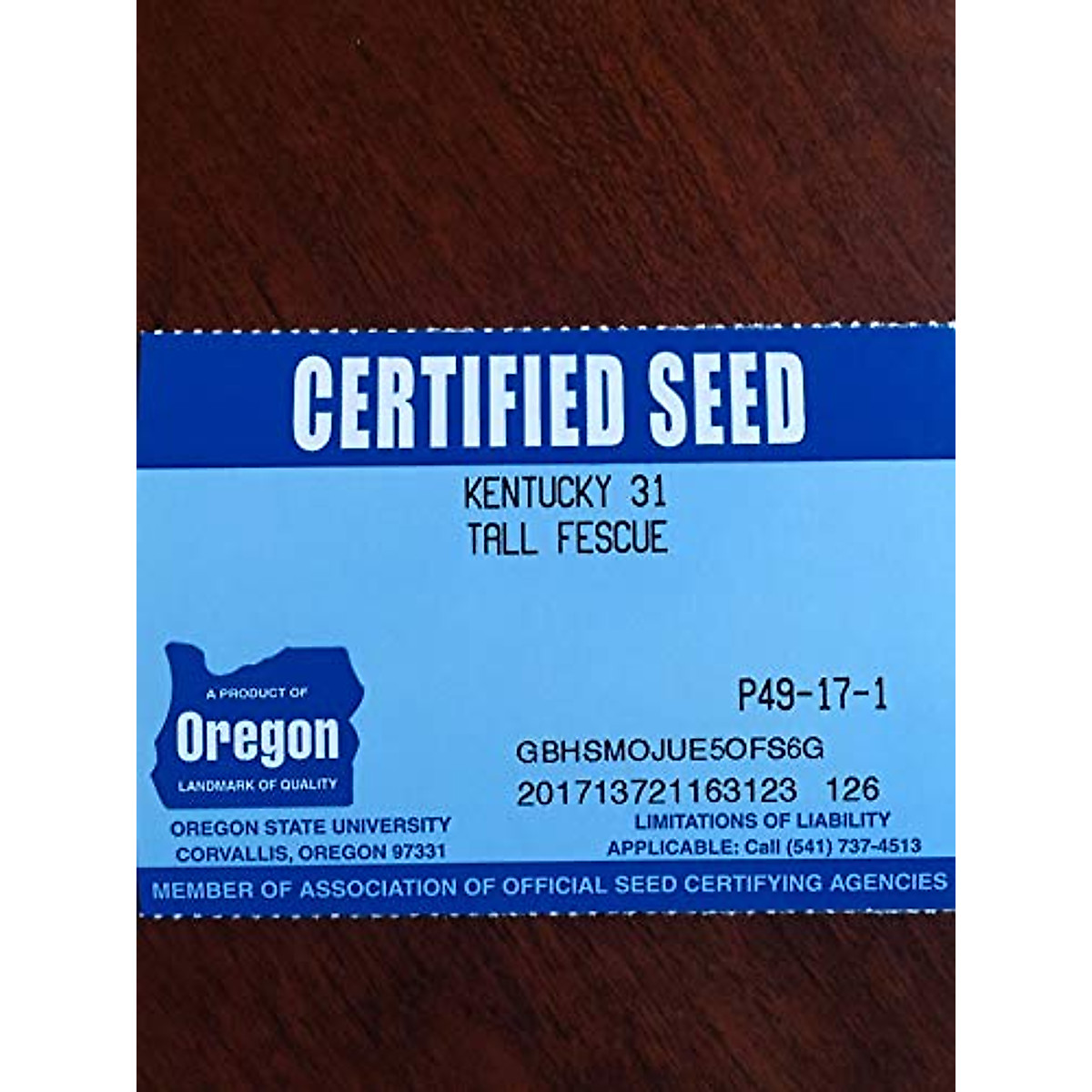 Kentucky 31 K31 Tall Fescue Grass Seed by Eretz - CHOOSE SIZE! State Certified, No fillers, No Weed or Other Crop Seeds (5lbs)