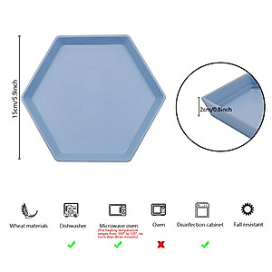 BangBoom 10 Pack Reusable Wheat straw Saucer, 5 Colors Premium Appetizer Plates, Unbreakable Small Dessert Saucer, Lightweight Colorful Snack Tableware Set for Fruit, Candy, Side Dishes. (Hexagonal)