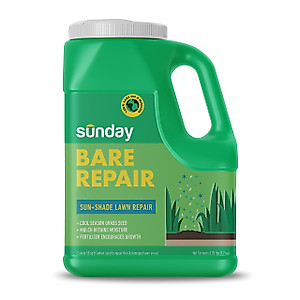 Sunday Bare Repair Sun and Shade Grass Seed Spot Treatment - Grass Seed for Shade and Hard to Grow Areas - Lawn Patch Repair That Works in 14 Days or Less - 3.75lb Jug (Covers 55 Sq Ft)