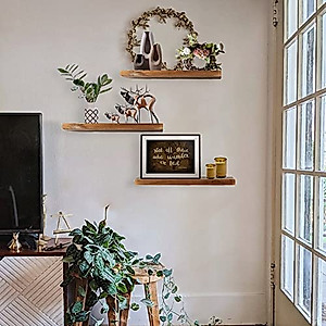 STAHMFOVER Wood Floating Shelves 16.2" Heavy Duty Storage Rustic Pine Wall Shelves for Bathroom Bedroom Kitchen,Valentine's Day Gift 16.2" L*5.7" W*1.0" H(Carbonized Brown, Set of 3)