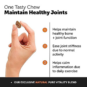 Pet Honesty Hip & Joint Health - Dog Joint Supplement Support for Dogs with Glucosamine Chondroitin, MSM, Turmeric - Glucosamine for Dogs Soft Chews - Advanced Pet Joint Support and Mobility - 2 Pack