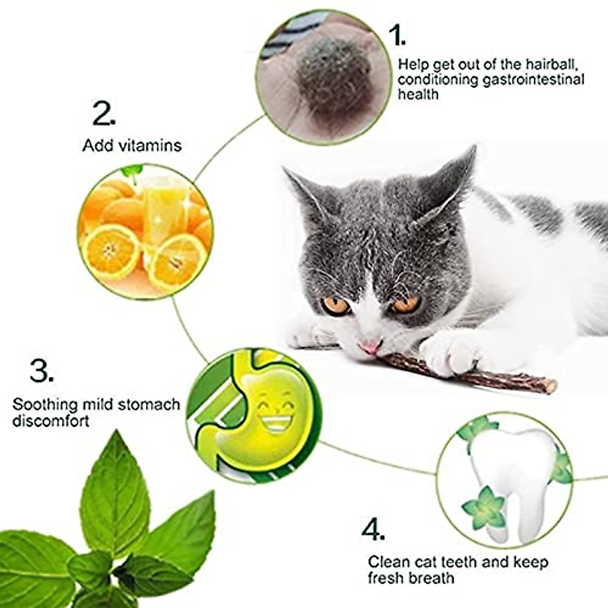 10 PCS Catnip Sticks Organic Cat Chew Toys Natural Plant Matatabi Silvervine Chew Sticks Cat Teeth Cleaning Chew Toy Cat Kitten Kitty 1