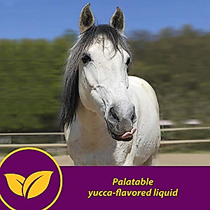 Horse Health Red Cell, Liquid Vitamin-Iron-Mineral Supplement for Horses, Helps Fill Important Nutritional Gaps in Horse's Diet, 1 Qt., 32 Oz., 16-Day Supply