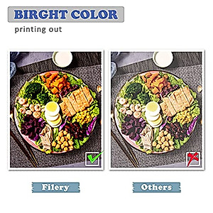 Filery 15-Pack Compatible Ink Cartridge Replacement for Canon PGI-270XL CLI-271XL Ink 270XL 271XL Used for PIXMA MG7720 MG5720 MG6820 TS8020 TS9020 TS6020 MG6821 MG5721 MG5722 MG6822 TS5020 Printer