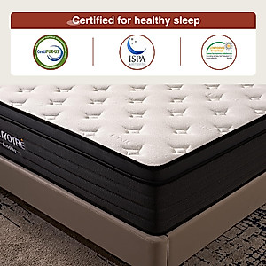 WUYOTRE King Mattress, 10 Inch King Size Hybrid Mattress in a Box,Cooling Memory Foam Bed Mattresses with Independent Spring,Soft and Breathable,Back Pain Relief,CertiPUR-US,Medium