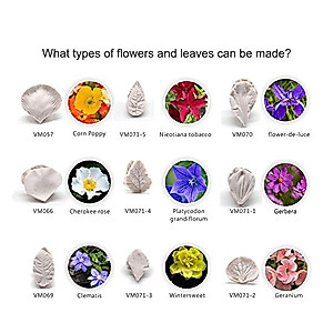 AK ART KITCHENWARE 12sets Silicone Veining Mold 5sets Petal Steel Cutters 1 Veining Board 1 Foam Pad 10 Brushes 3 Frilling Sticks 4 Cake Carved Pens 8 Modelling Tool