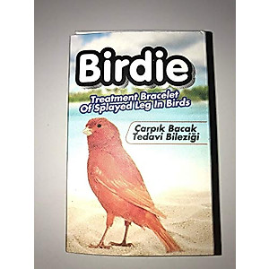 Fit Fly Splayed Leg Treatment Bracelet Bird Canary Finch Bands Leg Rings 3 mm